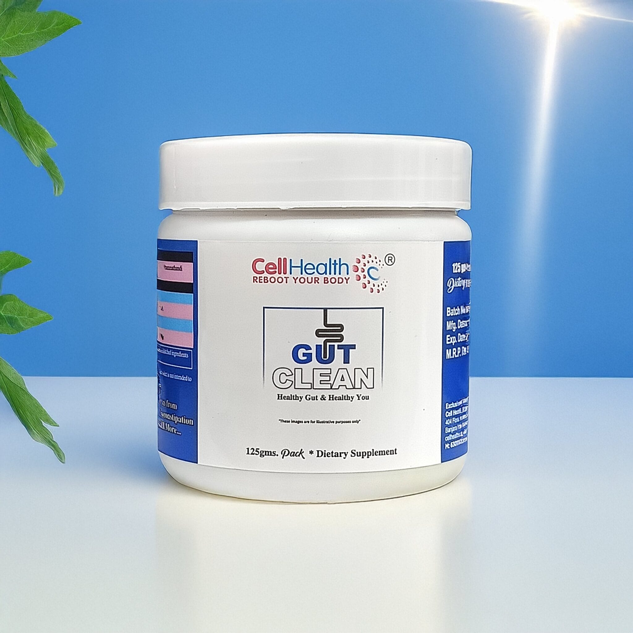 Gut clean powder - CellHealth